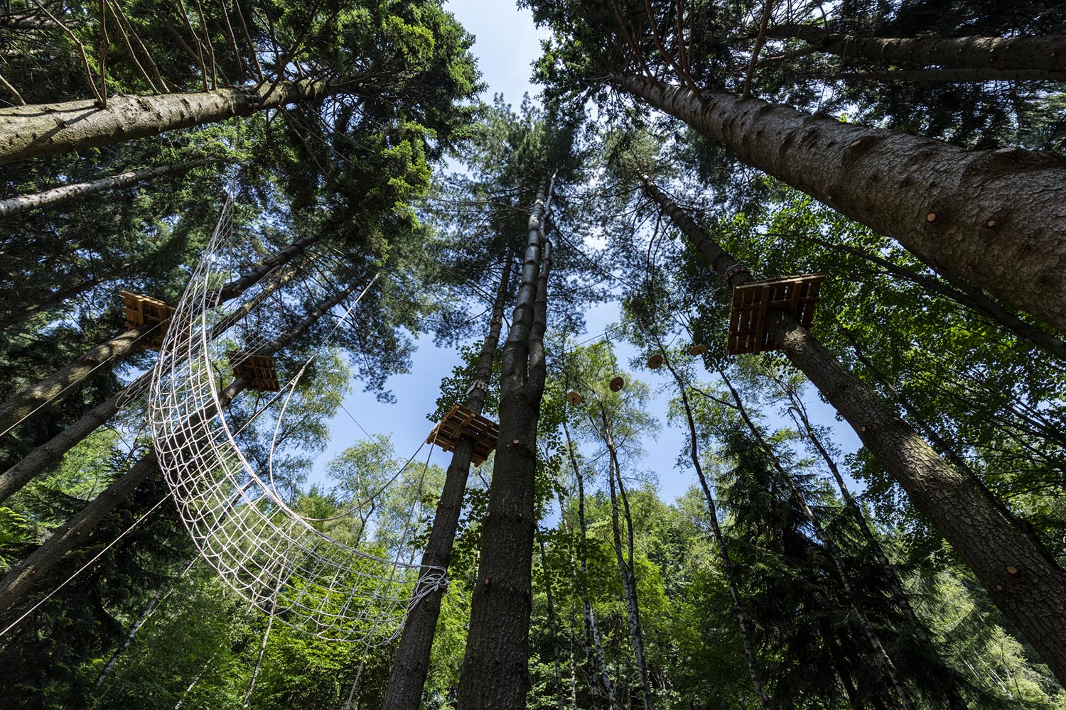 Scopri il nuovo Mottarone adventure park - Mottarone Stresa