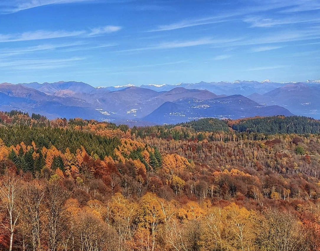 Mottarone color foliage - Mottarone Stresa
