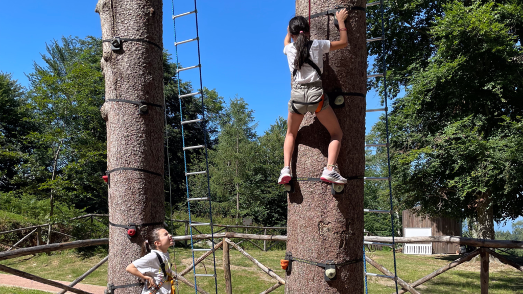 #MottaroneDay: tree climbing gratuito al Mottarone Adventure Park ...